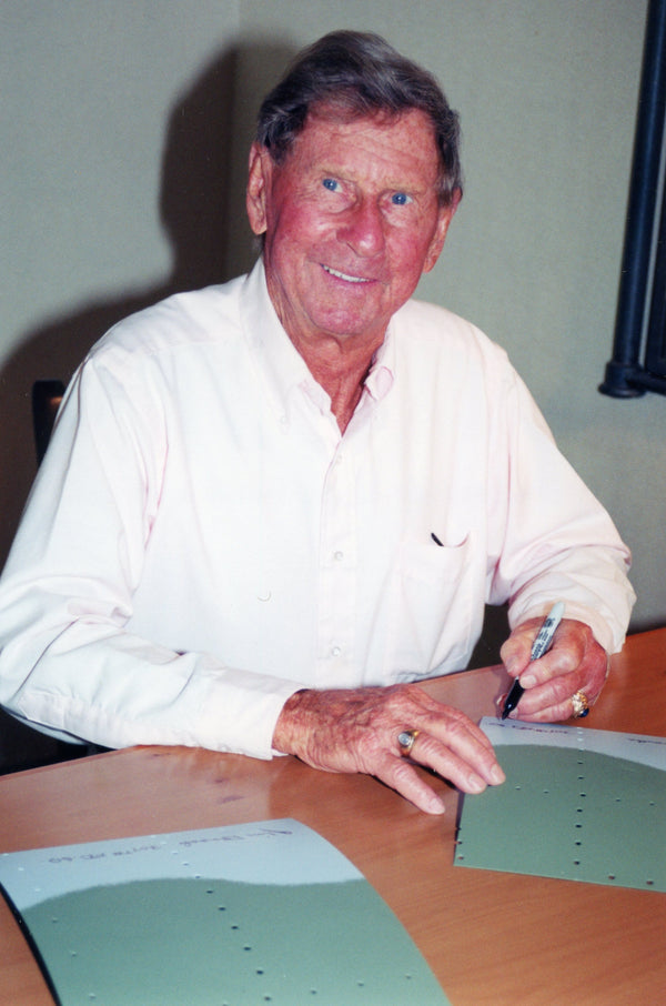 James Brooks / 307th FS (on P-51 skin) - Warbird Aviation Art